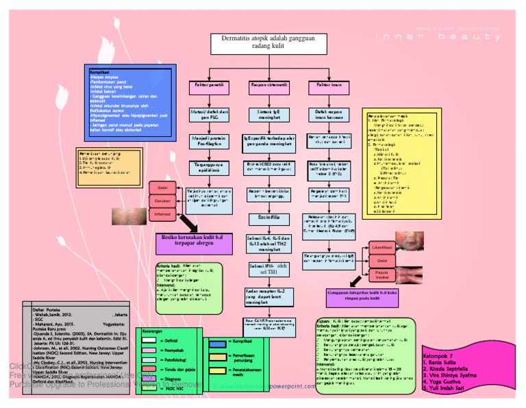 WOC Dermatitis Atopik | PDF