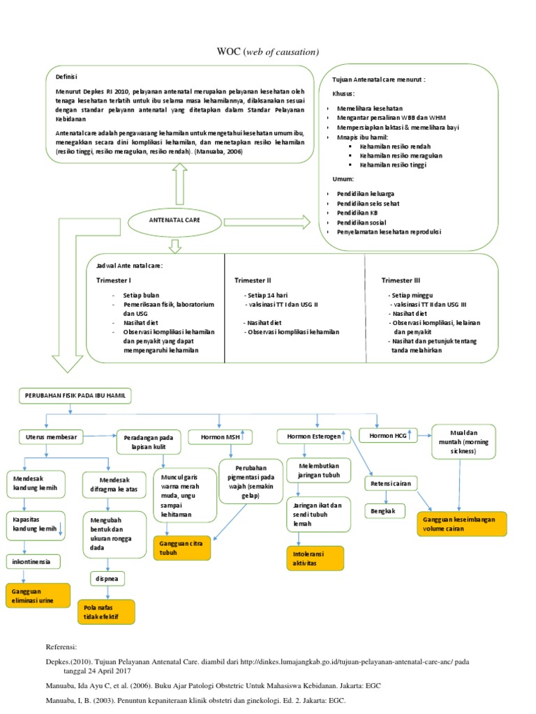 WOC (Web of Causation) | PDF