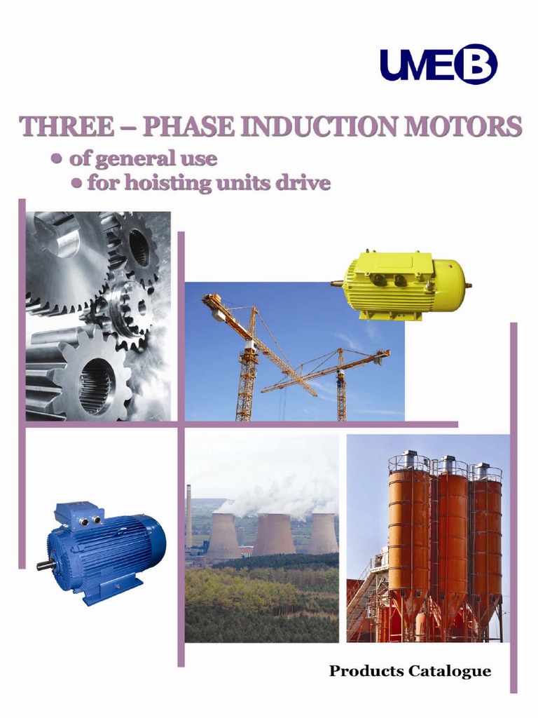 Induction Motors | PDF | Electric Motor | Electricity