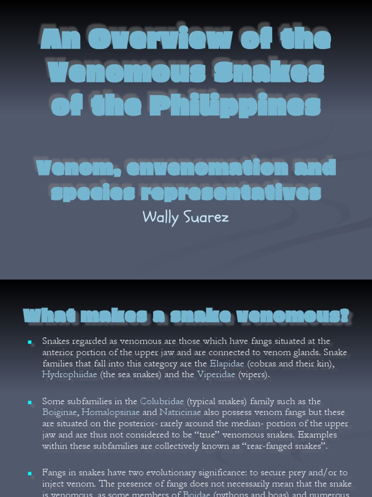 An Overview of The Venomous Snakes of The | PDF | Snake | Venom