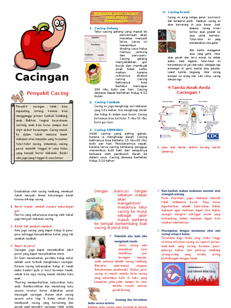 Leaflet Cacingan | PDF
