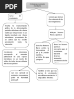 Mapa Conceptual Factores Intrinsecos y Extrinsecos | PDF | Microorganismo | Alimentos