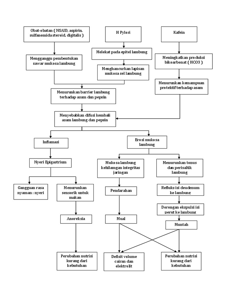 Pathway Gastritis | PDF