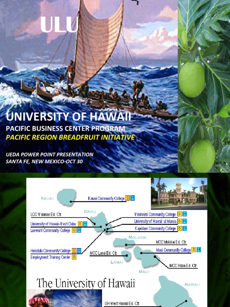 University of Hawaii: Pacific Business Center Program | PDF | Sales ...