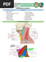 Surgical Anatomy of Doom and Pain Triangles | PDF | Abdomen