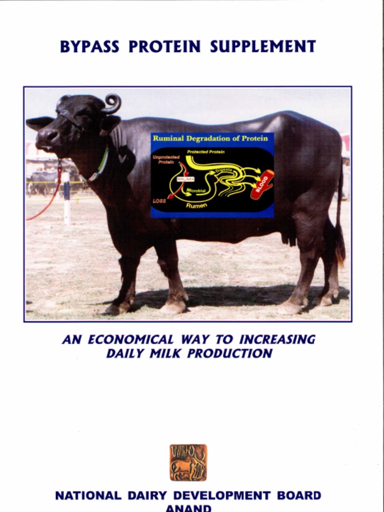 Bypass Protein Pdf