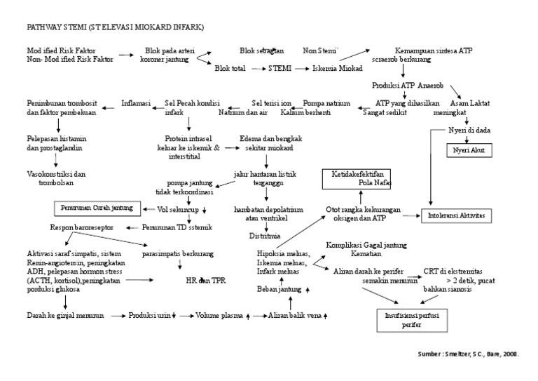 Pathway Stemi | PDF