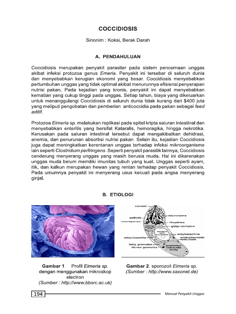 Coccidiosis PDF | PDF