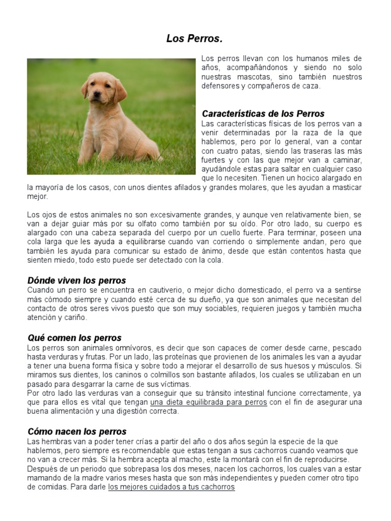Los Perros | PDF | Perros | Animales y humanos
