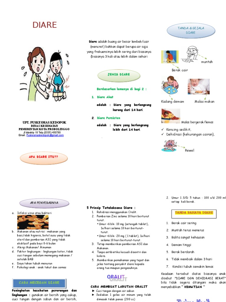 Leaflet Diare | PDF