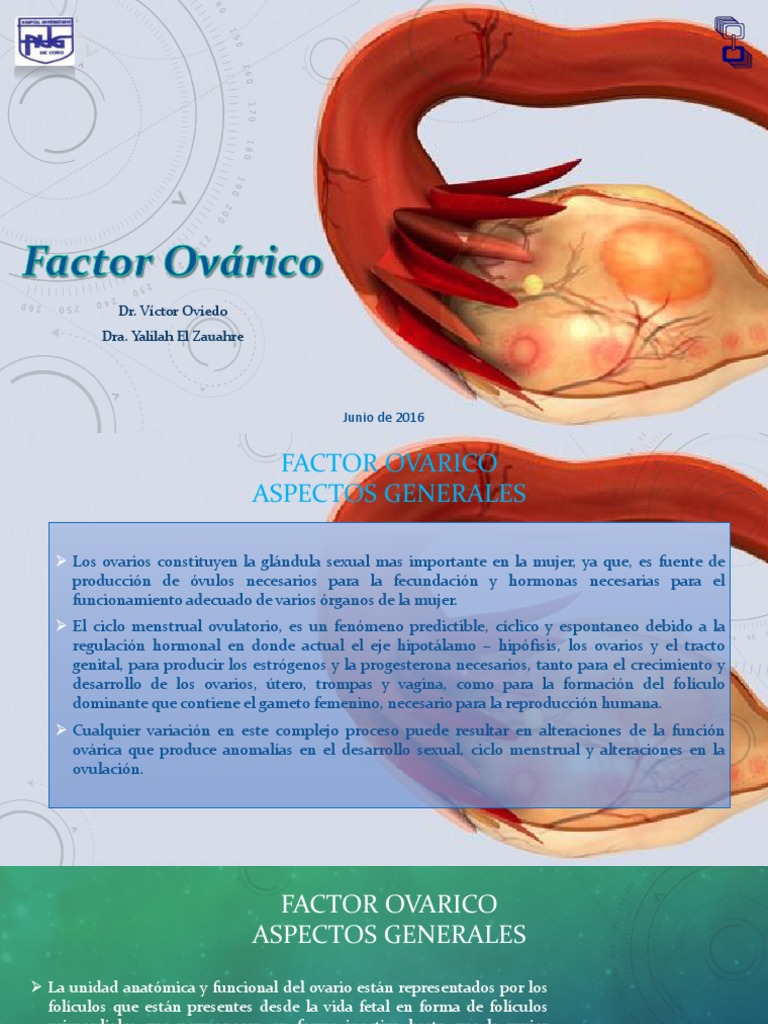 Factor ovárico | Ciclo menstrual | Hormona luteinizante