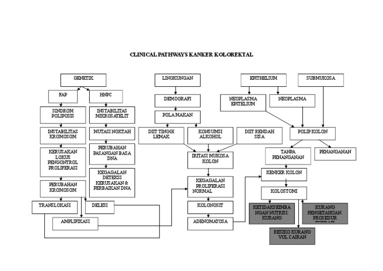 Clinical Pathways Kanker Kolorektal | PDF