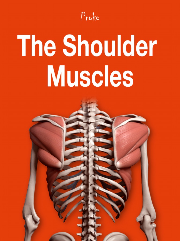 The Shoulder Muscles Ebook | PDF