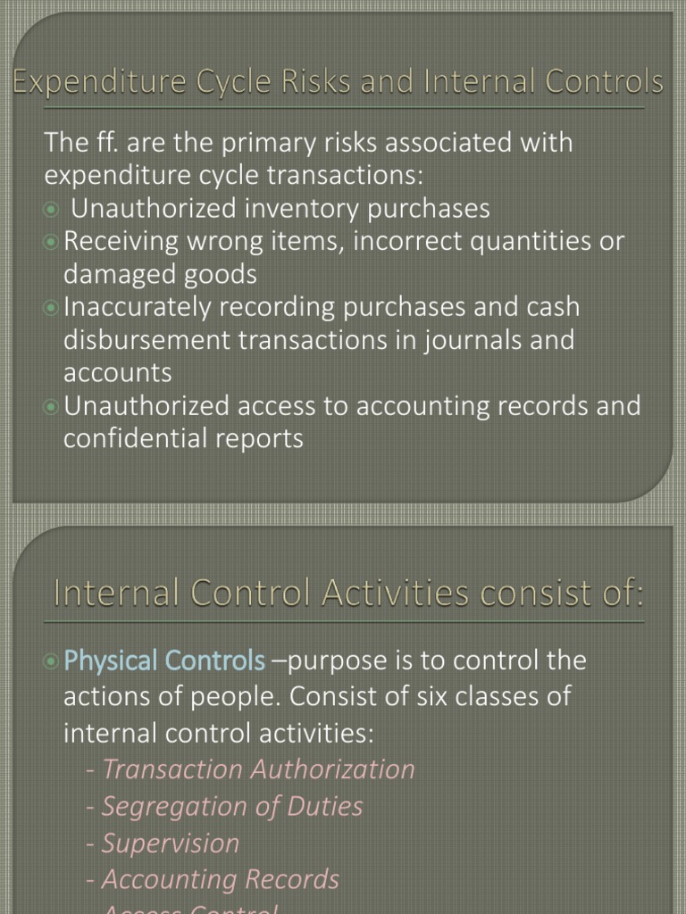 Expenditure Cycle Risks and Internal Controls | PDF | Systems ...