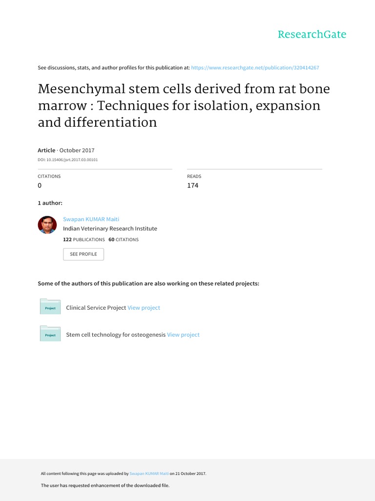 Mesenchymal Stem Cells Derived From Rat Bone Marrow: Techniques For ...