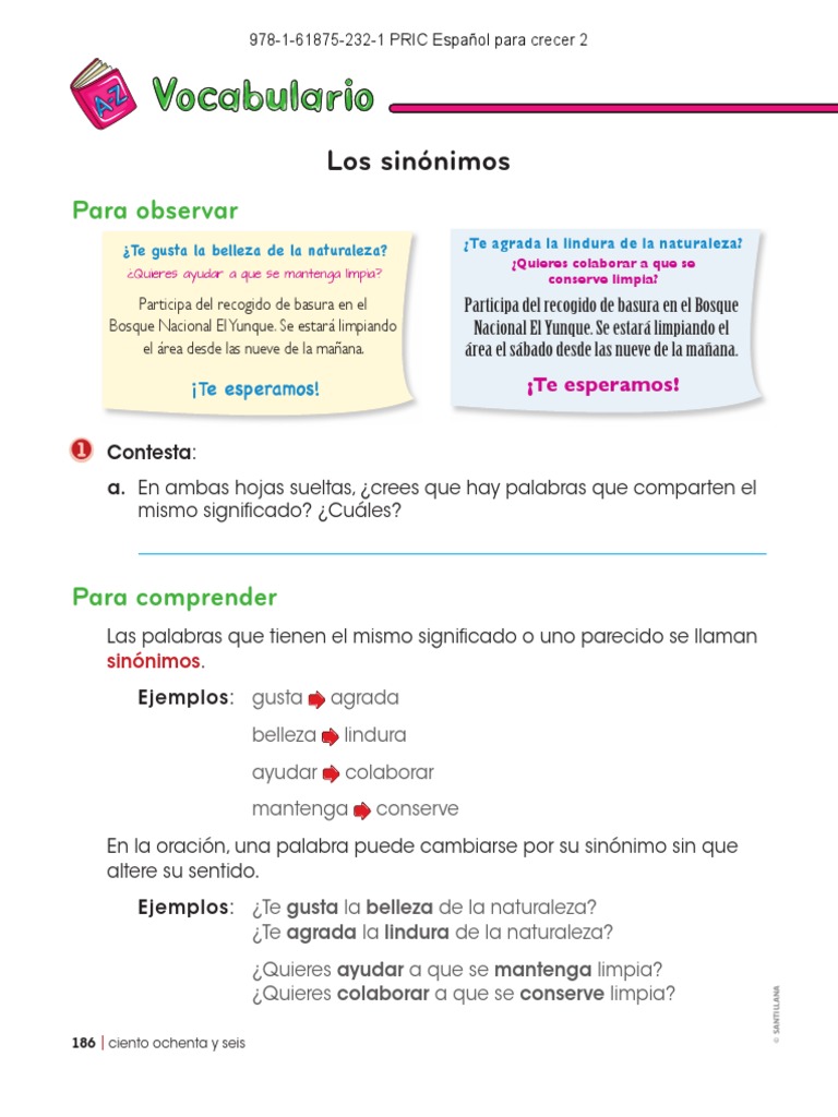 Los Sinónimos: para Observar | PDF