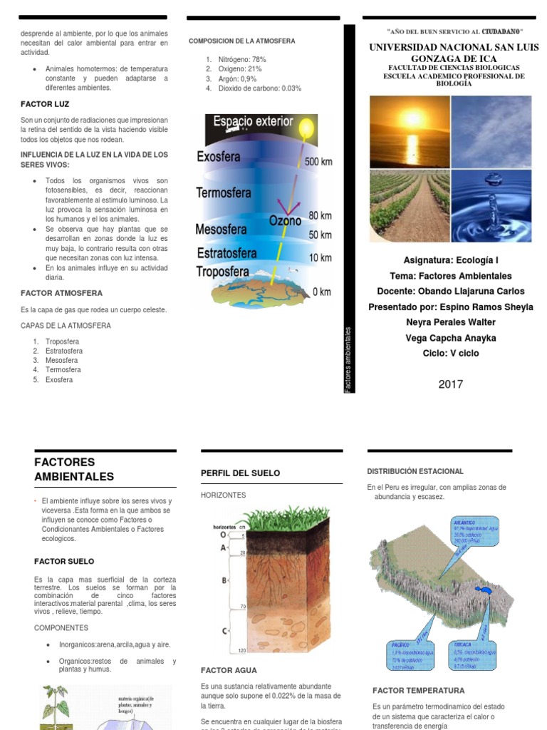 FACTORES AMBIENTALES Triptico | PDF | Agua | Entorno natural