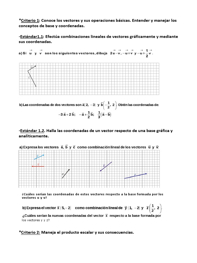 Estándares Vectores | PDF