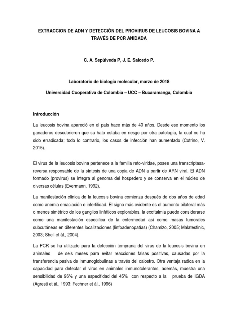Detección Del Provirus de Leucosis Bovina A Través de PCR Anidada | PDF ...