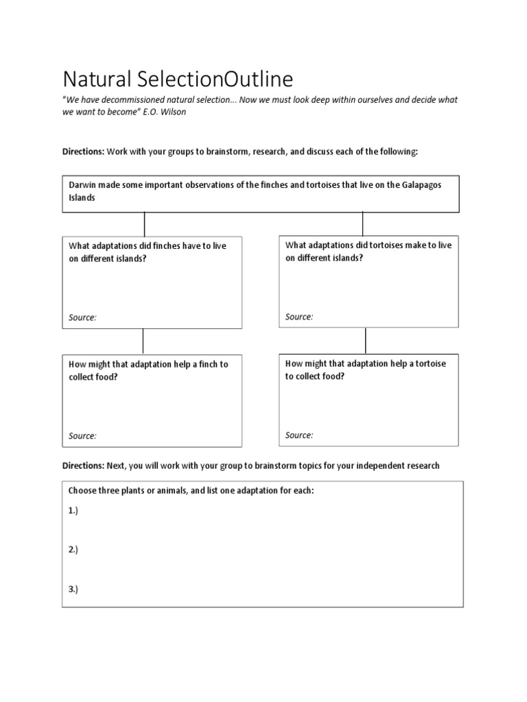 Selection Outline | PDF