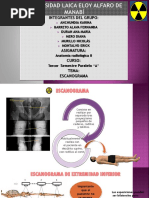 PALESTESIA Definicion y Exploración | PDF | Mano | Sistema ...