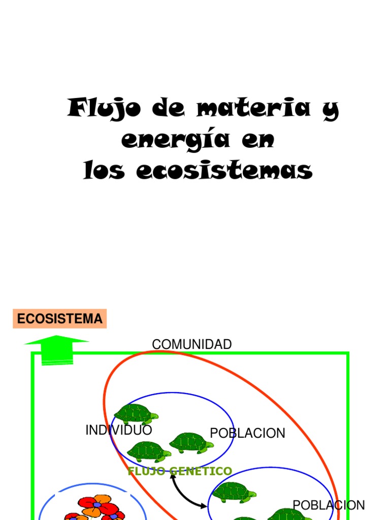Flujo de energía y materia en ecosistemas | PDF | Ecología | Habitat