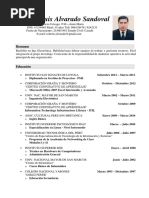 Ejemplo de CV Documentado | PDF | Ciencias de la Computación | Computadoras personales