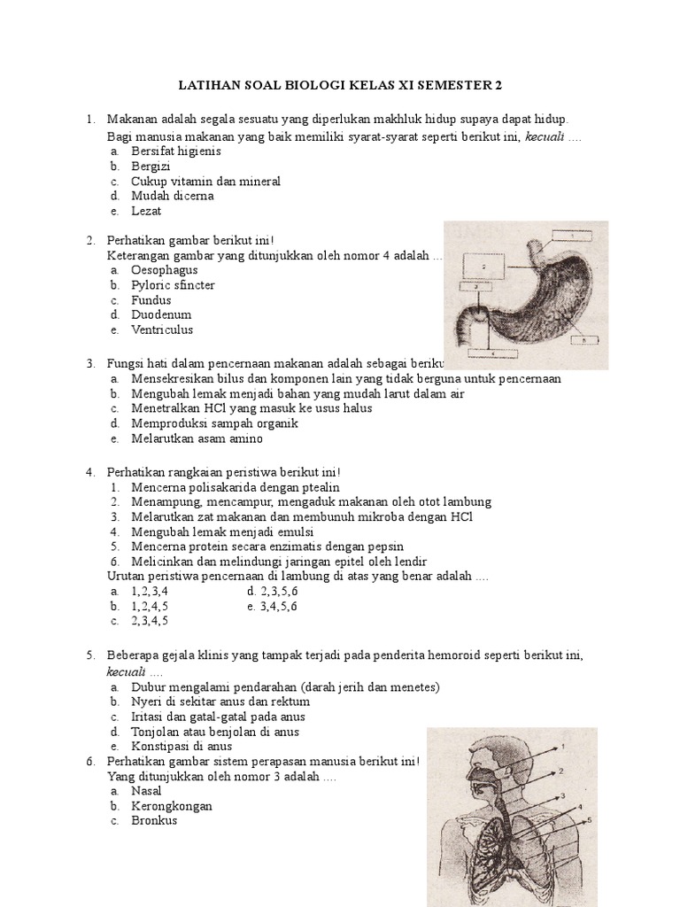 Latihan Soal Biologi Kelas Xi Semester 2 | PDF
