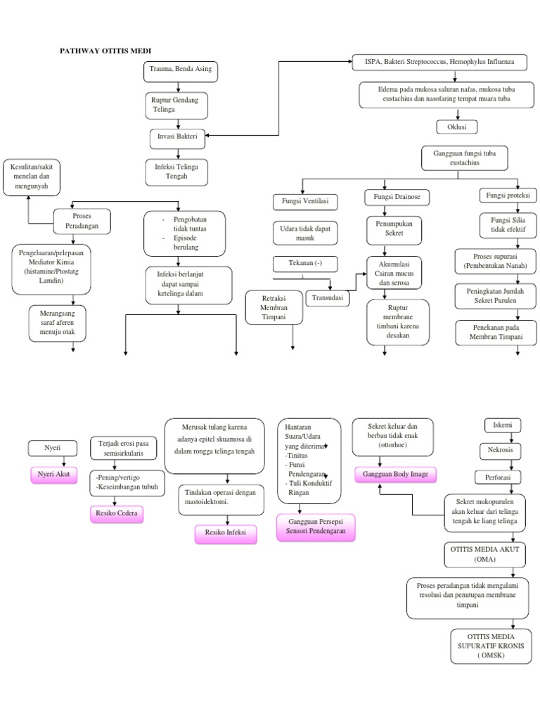 Pathway Otitis Mediawike Eka Noperiani | PDF