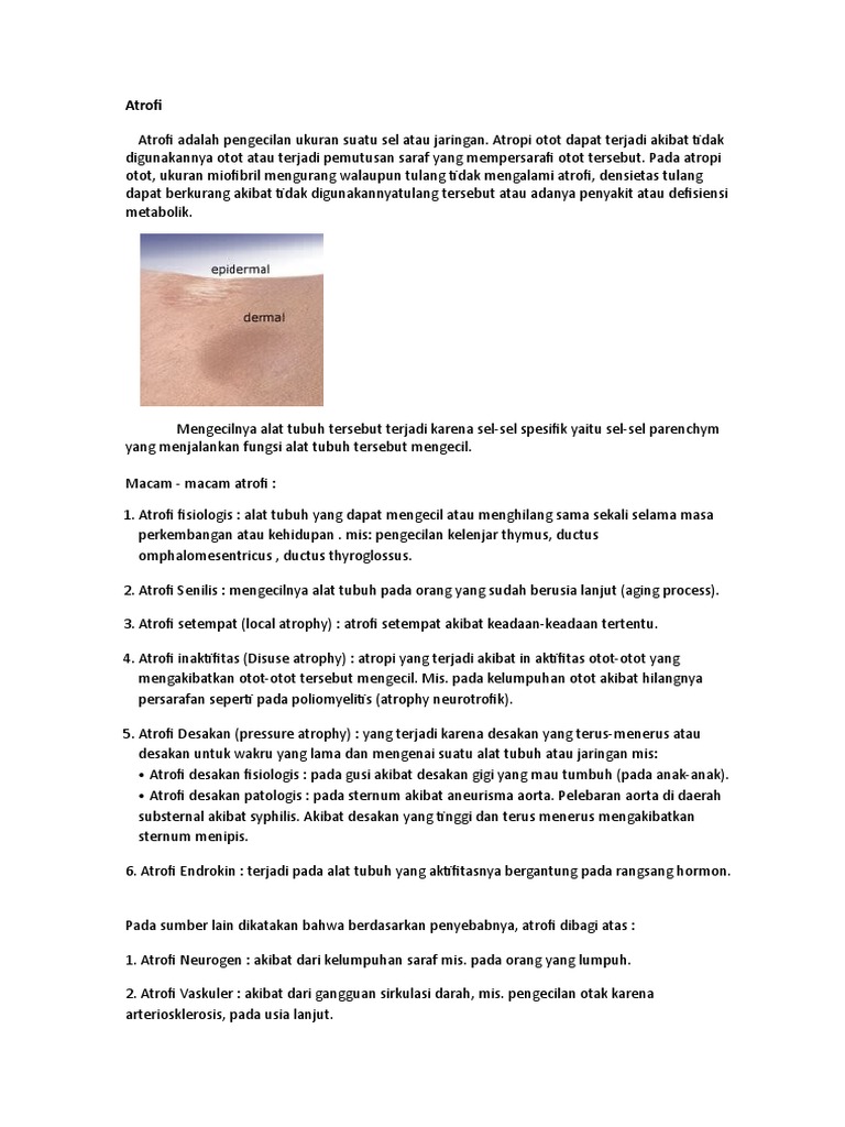 Atrofi | PDF