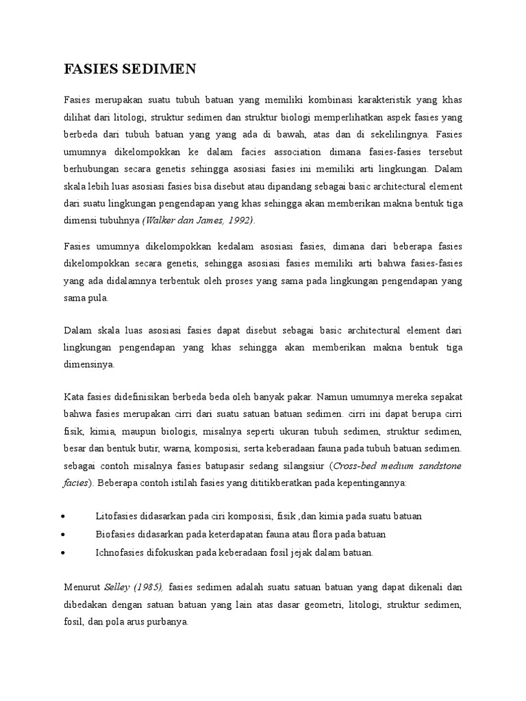 FASIES Sedimen | PDF
