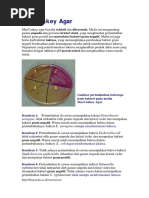 Kode ICD 10 Cephalgia dan Febris | PDF