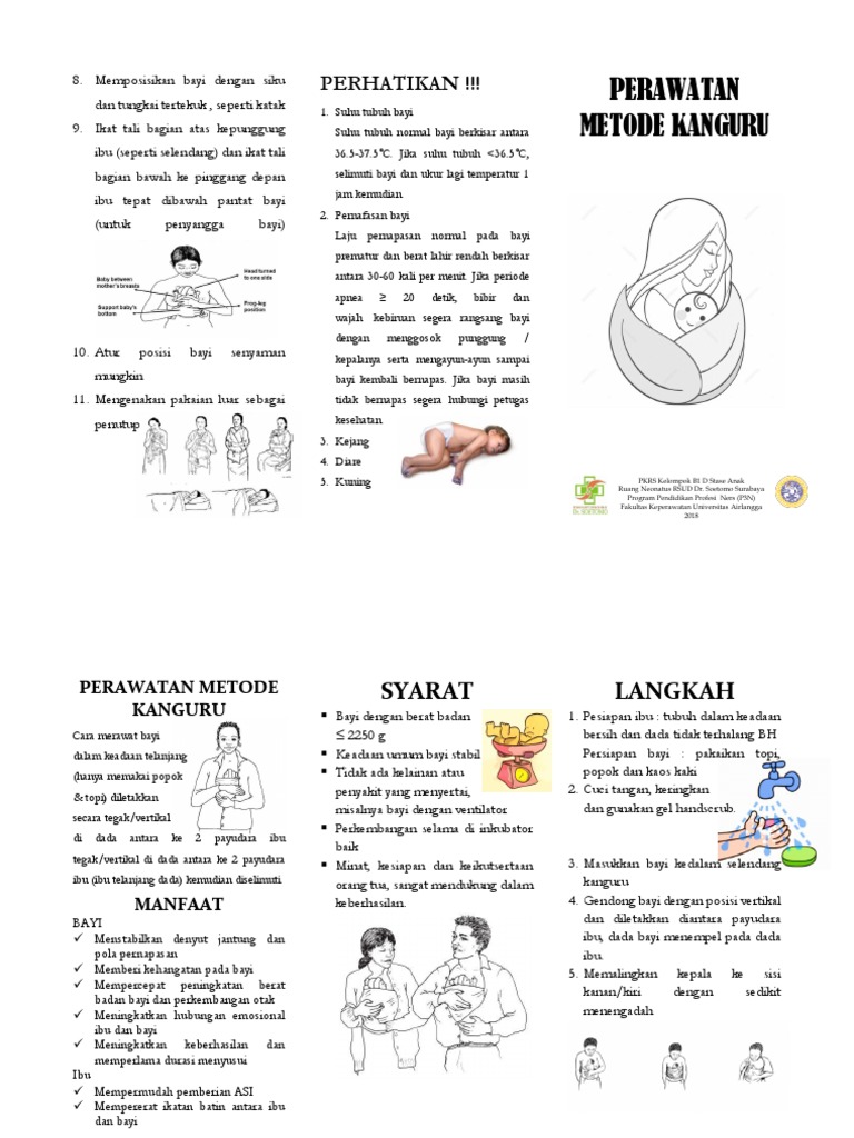 Leaflet PMK | PDF | Pengembangan Diri | Kesehatan Holistik