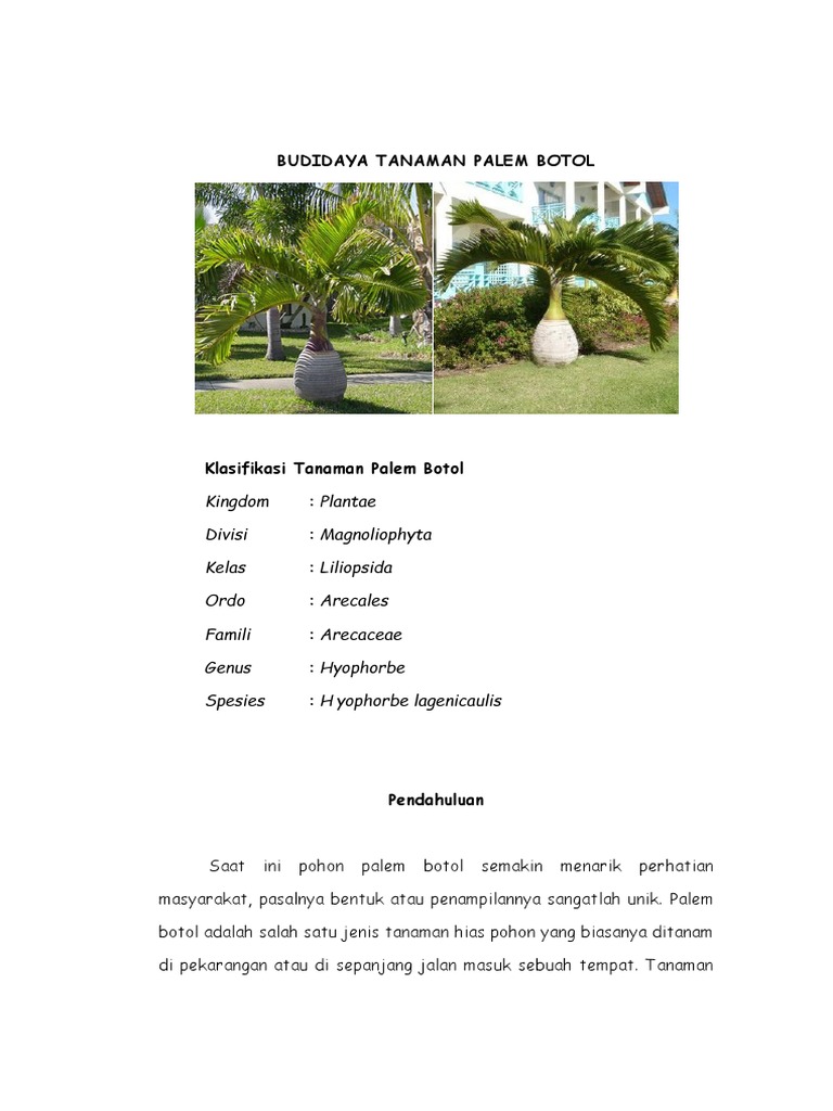 Palem Botol | PDF | Sains & Matematika