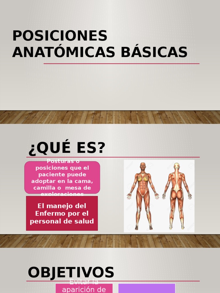 Posiciones Anatómicas Básicas | PDF | Términos anatómicos de ubicación | Bienestar