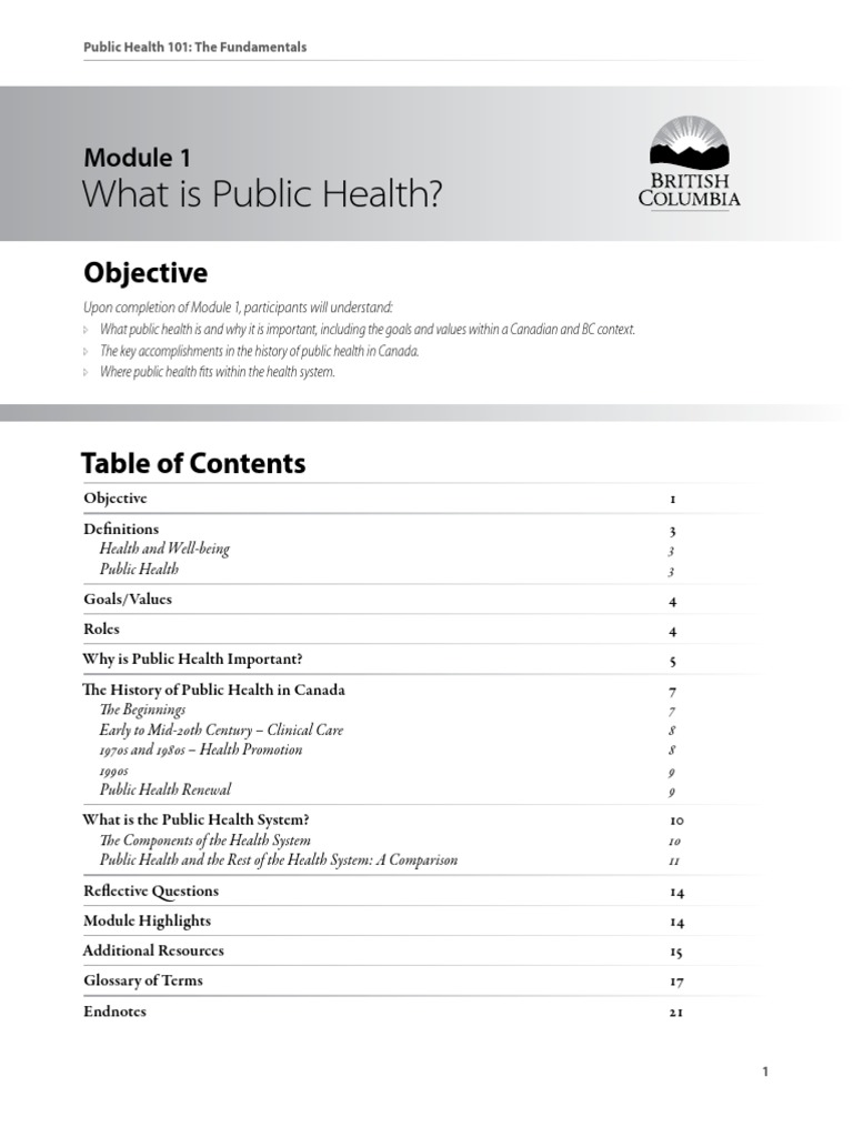 Fundamentals of Public Health | PDF | Influenza Pandemic | Preventive ...