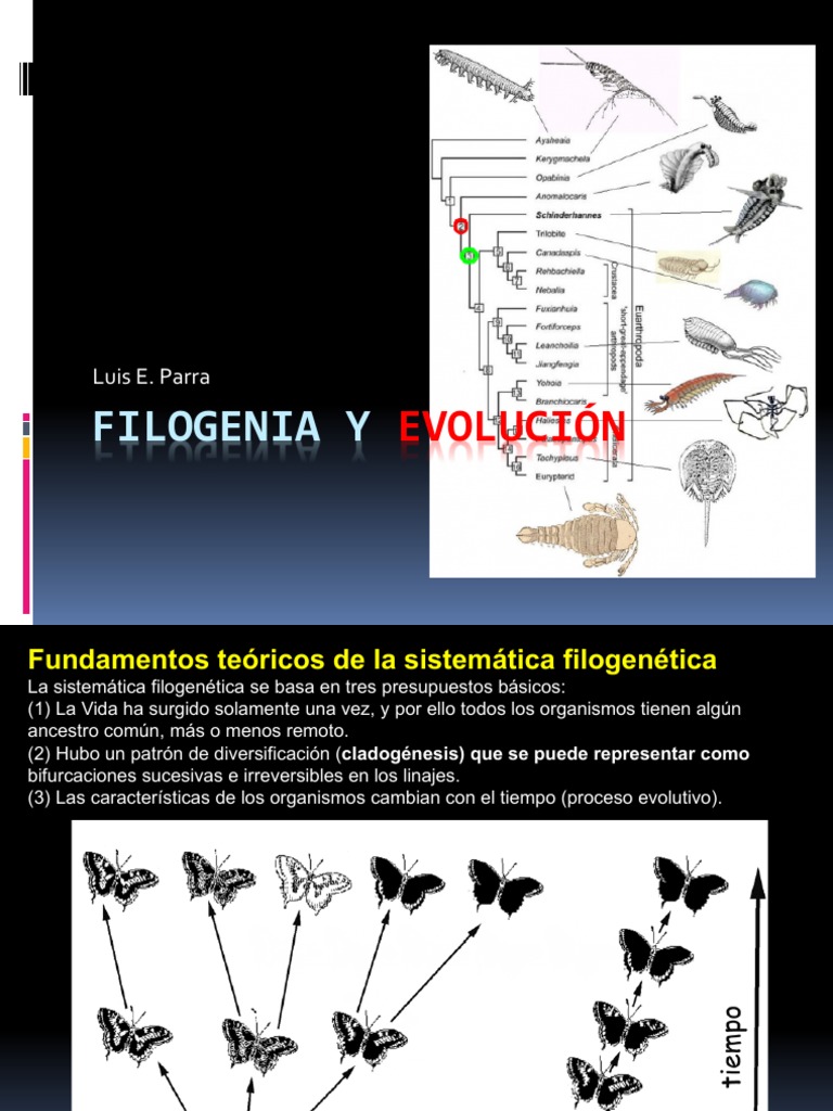 Filogenia&Amp Evolucion2017 | PDF | Filogenética | Evolución