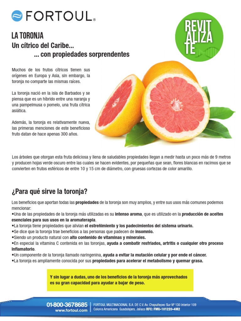 Toronja | PDF | Pomelo | Alimentos