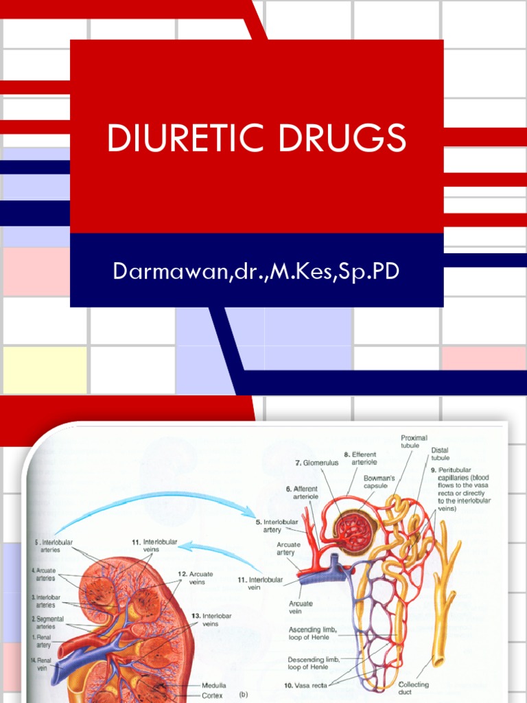 Diuretic Drugs Dr. Darmawan | PDF | Kidney | Clinical Medicine