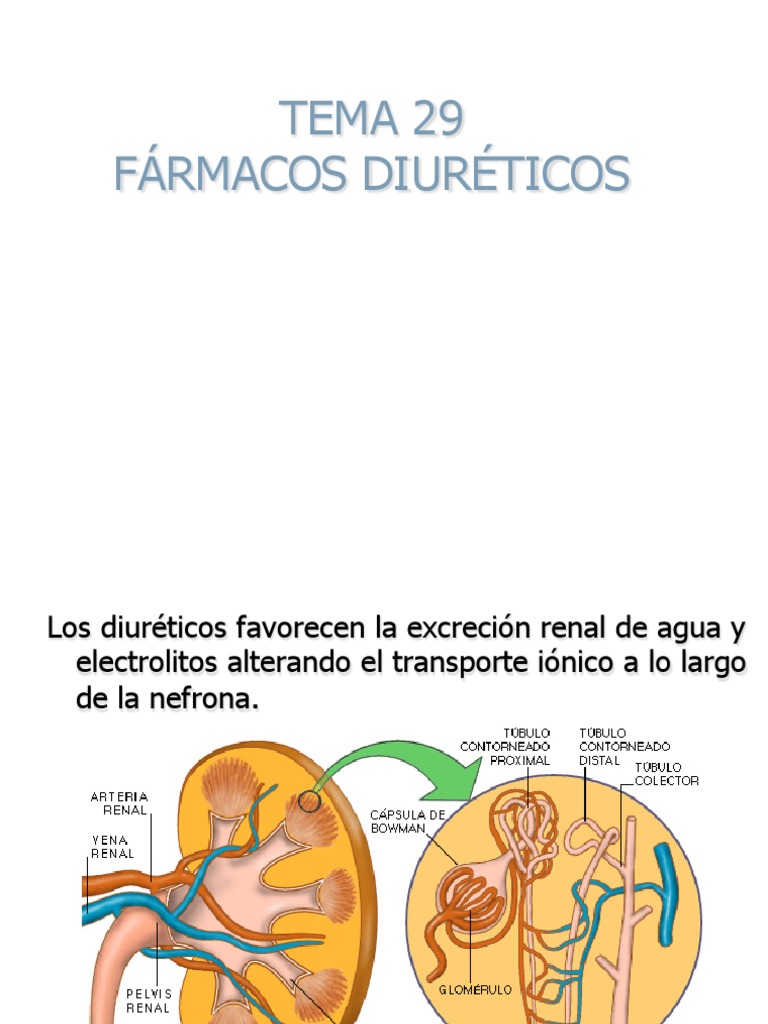tema 2. diuréticos.pdf