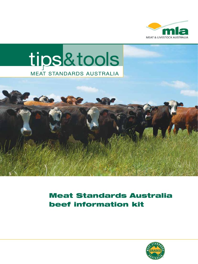 TT Msa Beef Info Kit Low Res | PDF | Beef | Meat