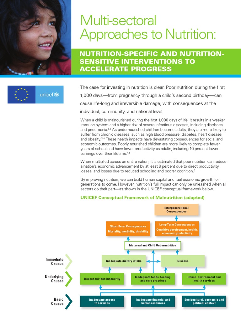 Multi-sectoral Approaches to Nutrition | PDF | Malnutrition | Wash