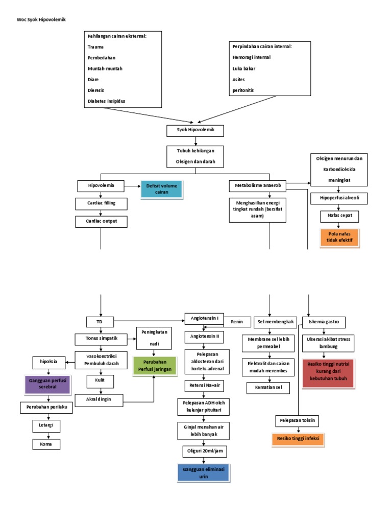 Woc Syok Hipovolemik | PDF