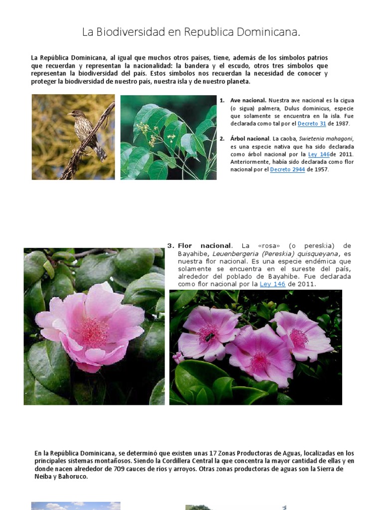 La Biodiversidad en Republica Dominicana | PDF | Turismo | Entorno natural