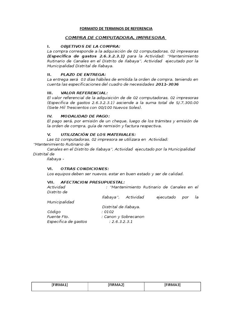 TDR Computadora Impresora | PDF