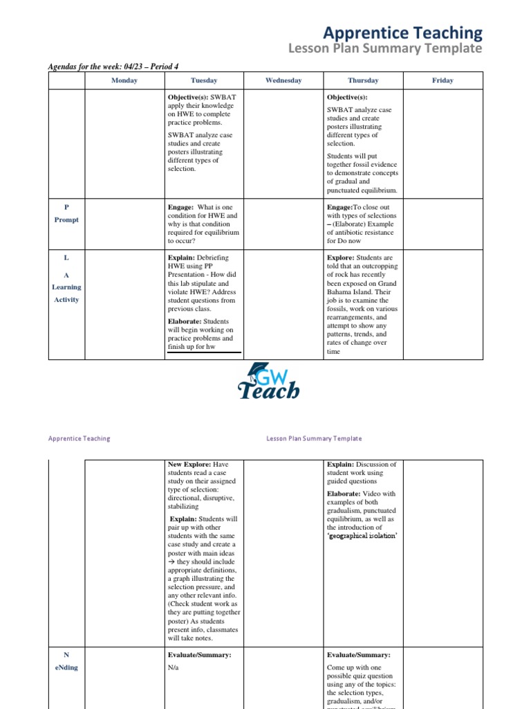 Apprentice Teaching: Lesson Plan Summary Template | PDF | Lesson Plan ...