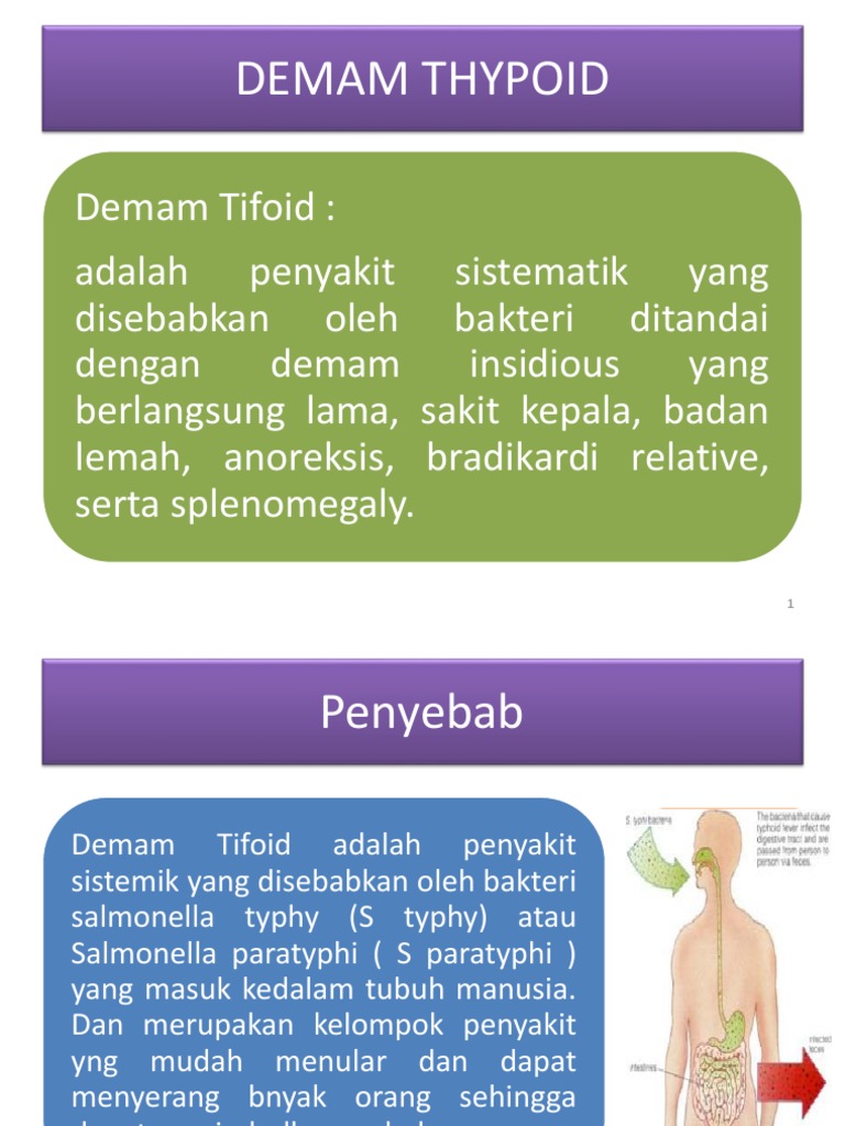 Demam Thypoid | PDF