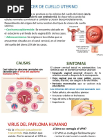 Triptíco VPH | PDF | Cáncer | Rtt