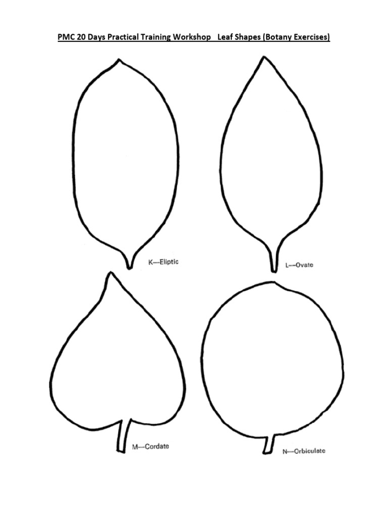 PMC 20 Days Practical Training Workshop Leaf Shapes (Botany Exercises ...