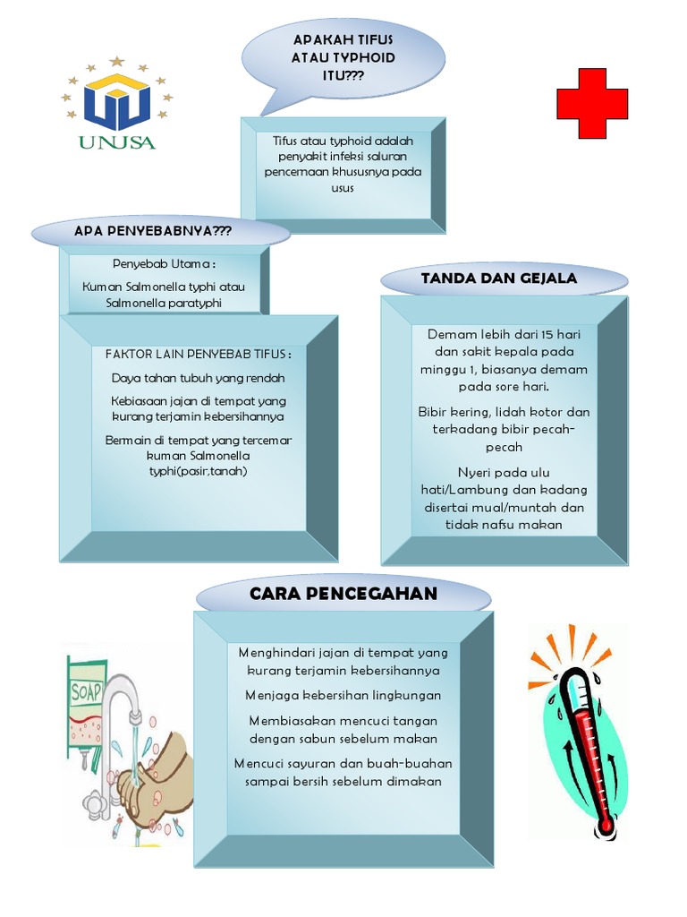 Poster Typhoid | PDF